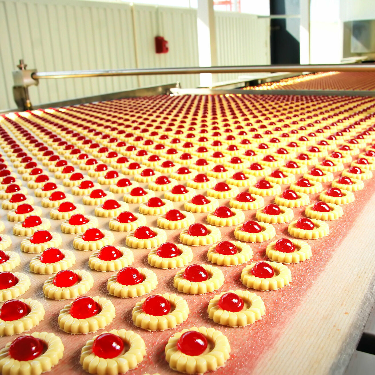 Dominant • Food & Beverage Manufacturing