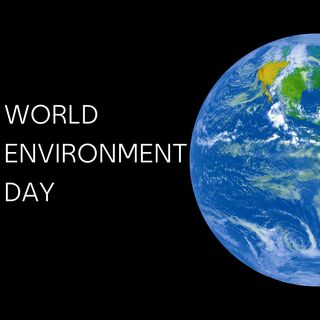 Dominant • Insights